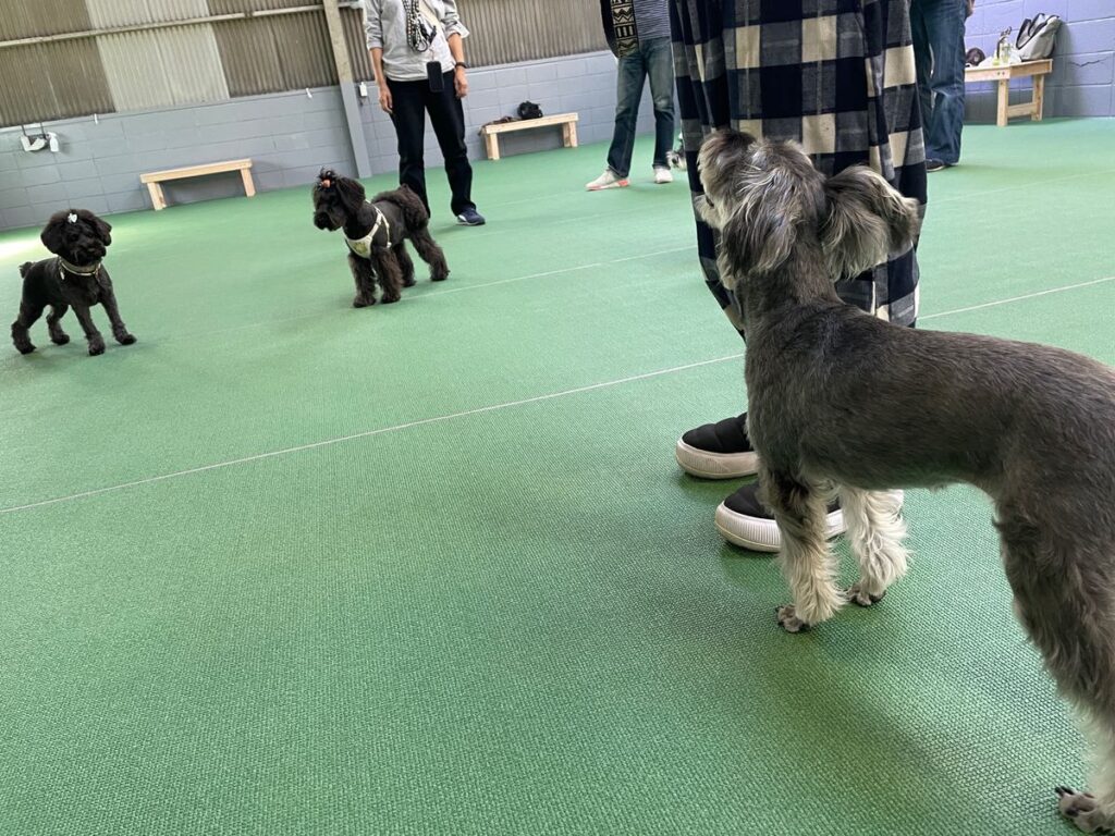 【11/19更新！開店速報】大分県内のニューオープンまとめ | ドリップまとめ | OITA Drip. オオイタドリップ ｜ 大分県下最大級の総合情報サイト