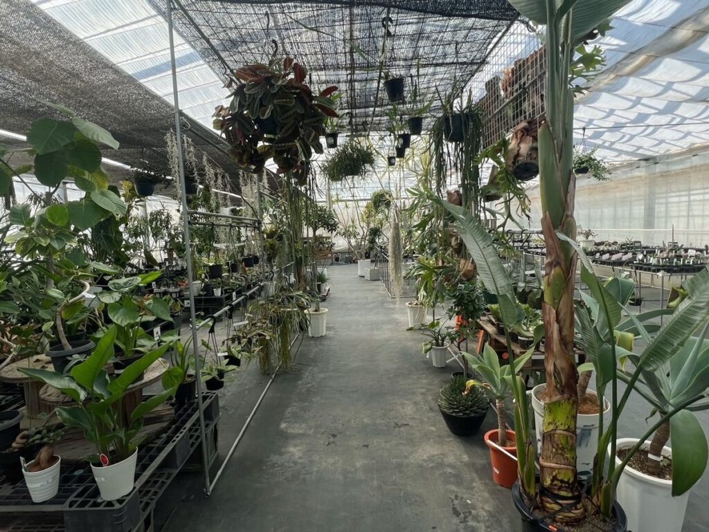 【3/31更新！開店速報】大分県内のニューオープンまとめ | ドリップまとめ | OITA Drip. オオイタドリップ ｜ 大分県下最大級の総合情報サイト