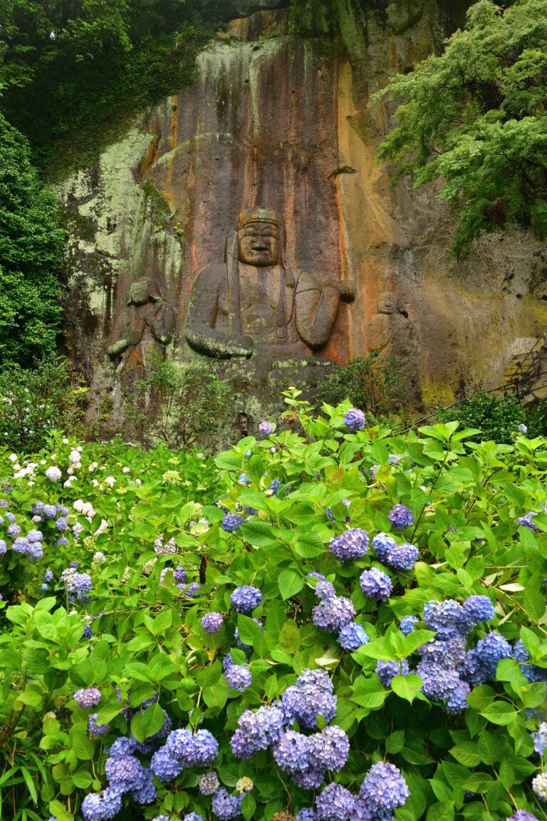 【イベント情報】大分県内の6・7月開催ピックアップイベント④ | ドリップまとめ | OITA Drip. オオイタドリップ ｜ 大分県下最大級の総合情報サイト